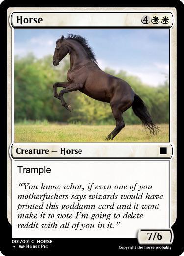 Horse | Scrolller