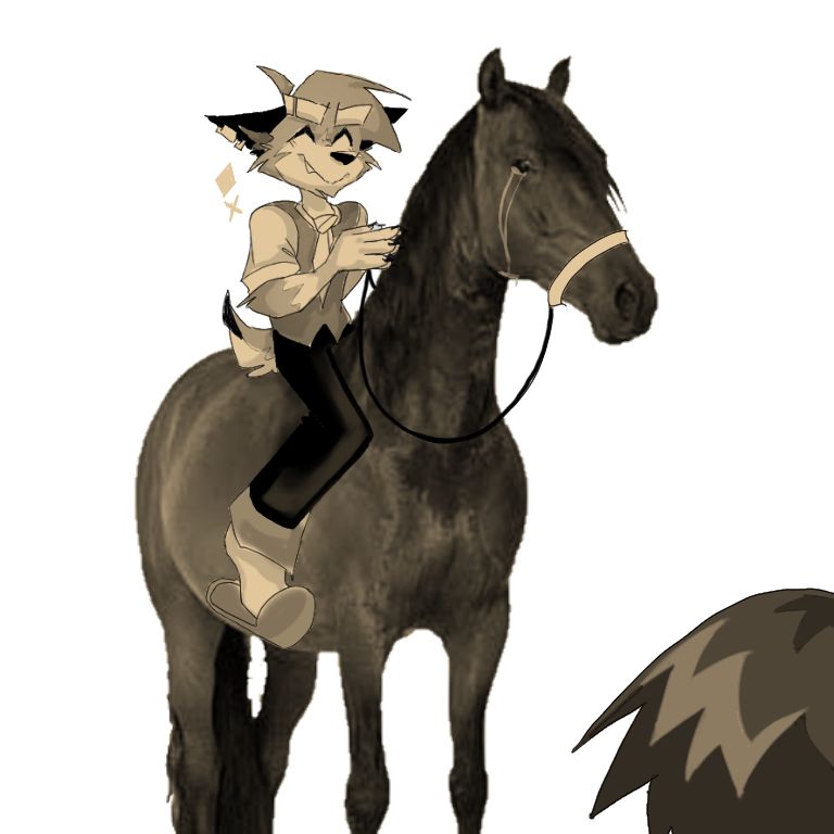 Horse is broken | Scrolller