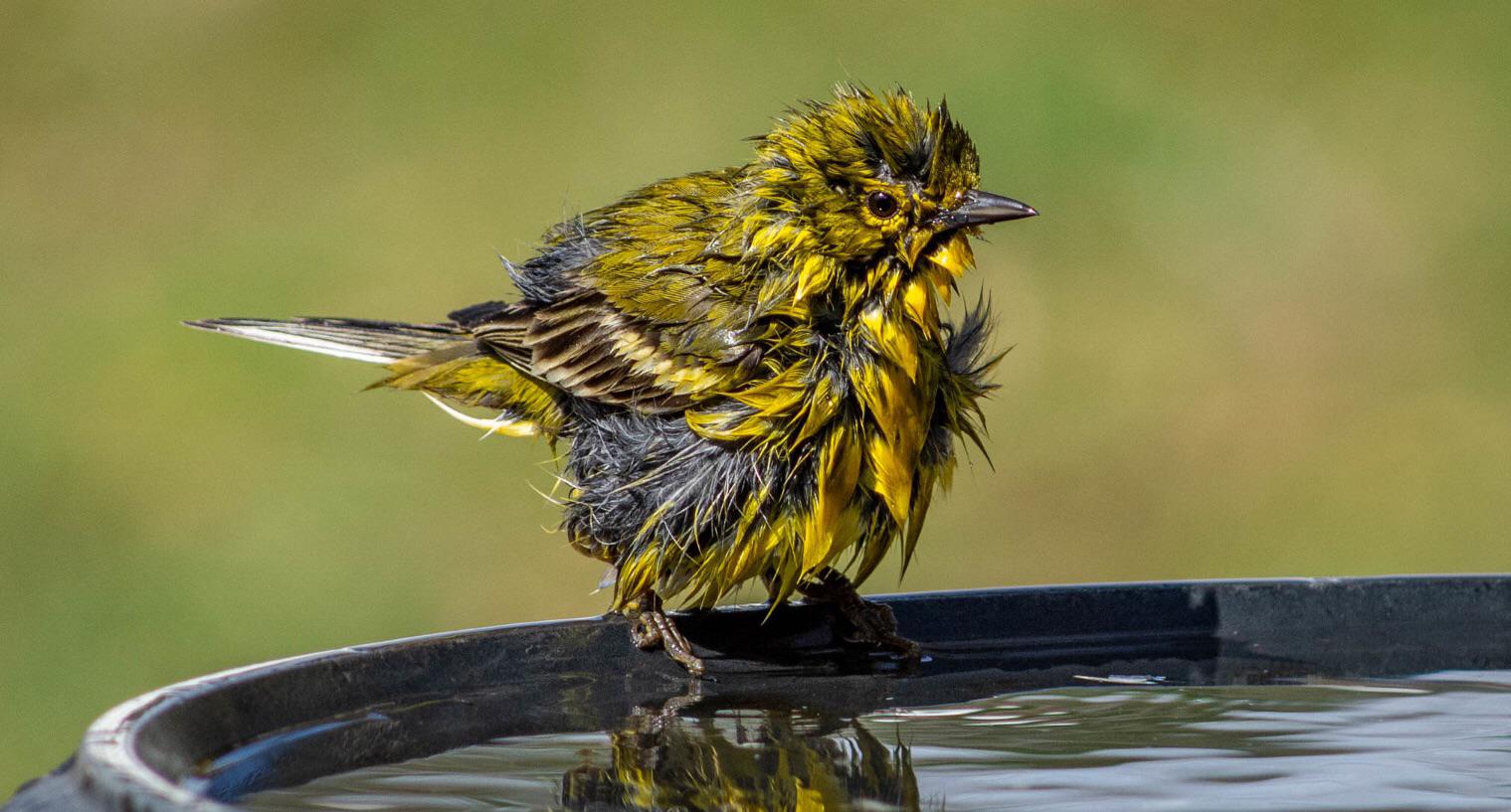 Hot Mess | Scrolller