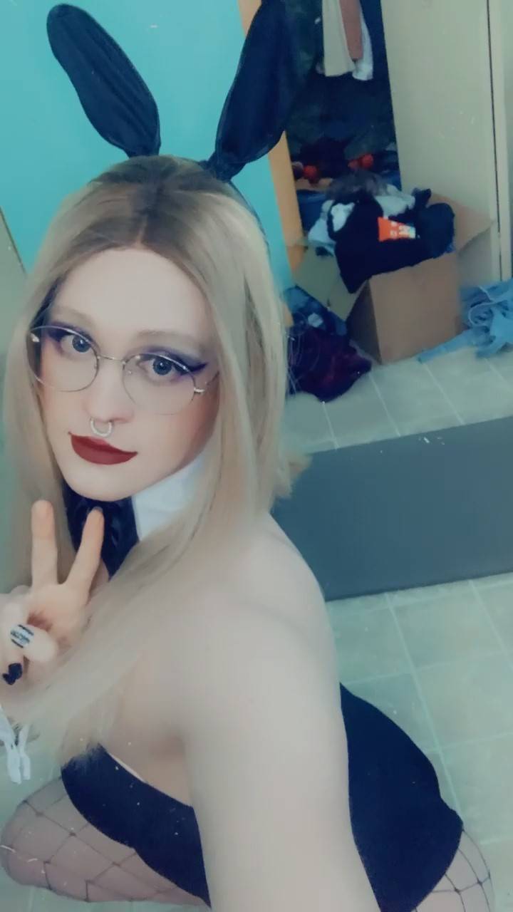 how about a pet rabbit? | Scrolller