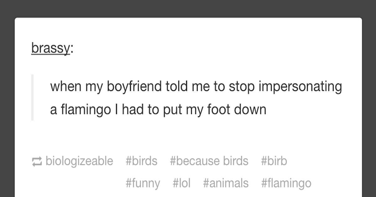 How dare he | Scrolller