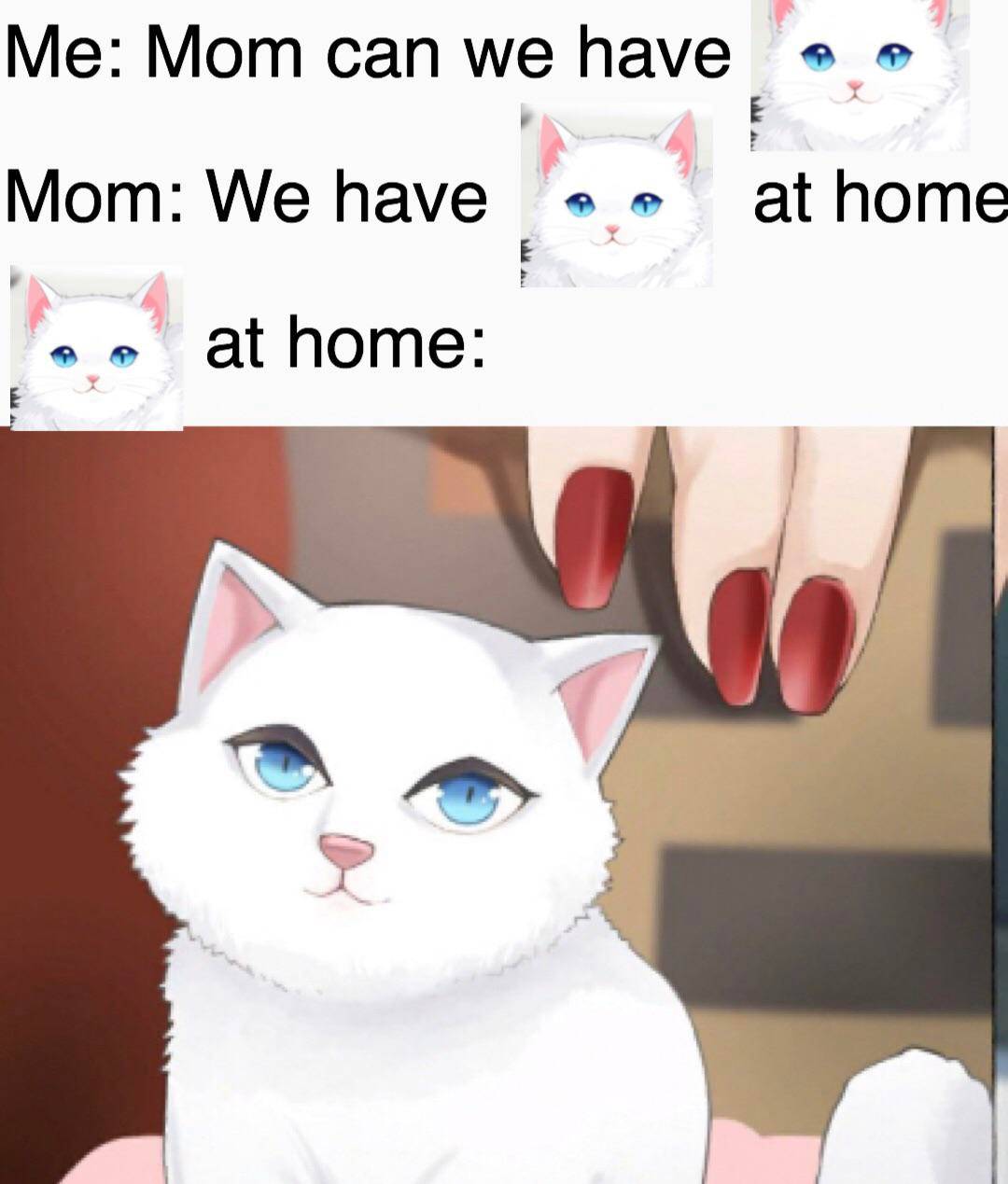 how ironic | Scrolller