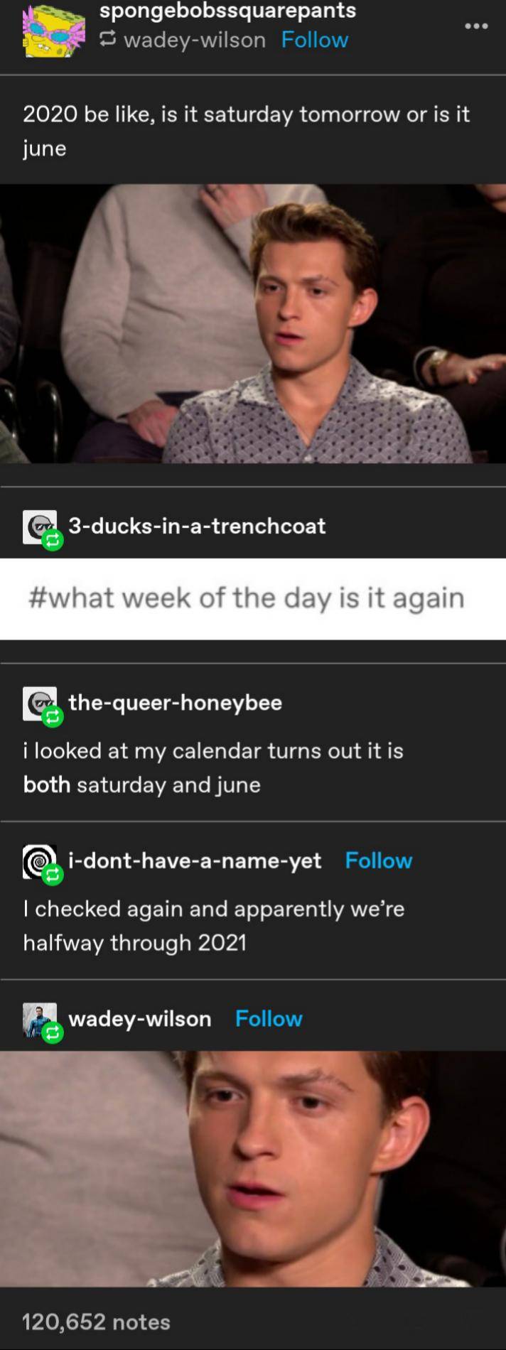 how is it june already | Scrolller