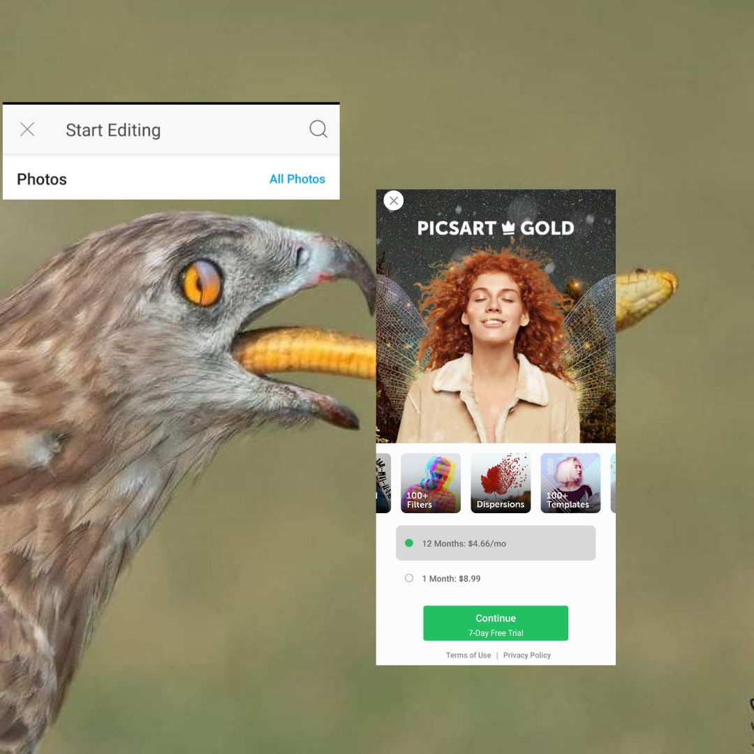 How it feels making memes. | Scrolller