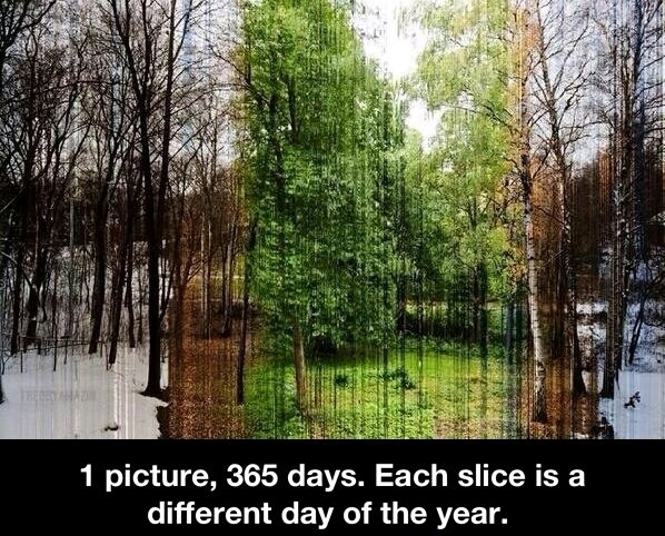 How seasons change | Scrolller