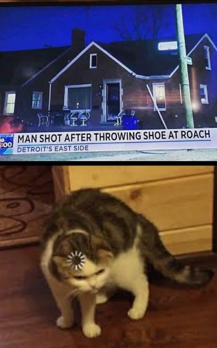 How tf that happened | Scrolller