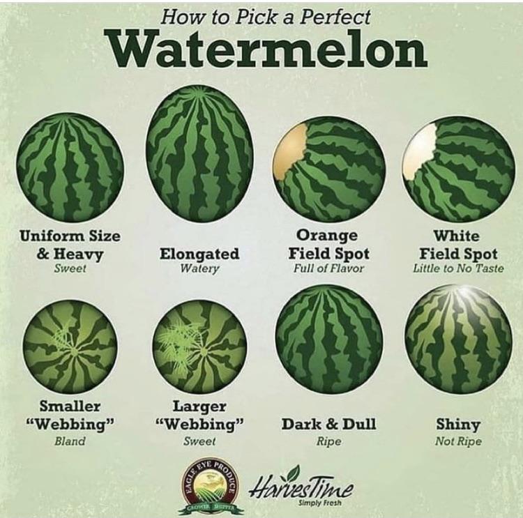 How to pick the perfect watermelon! | Scrolller