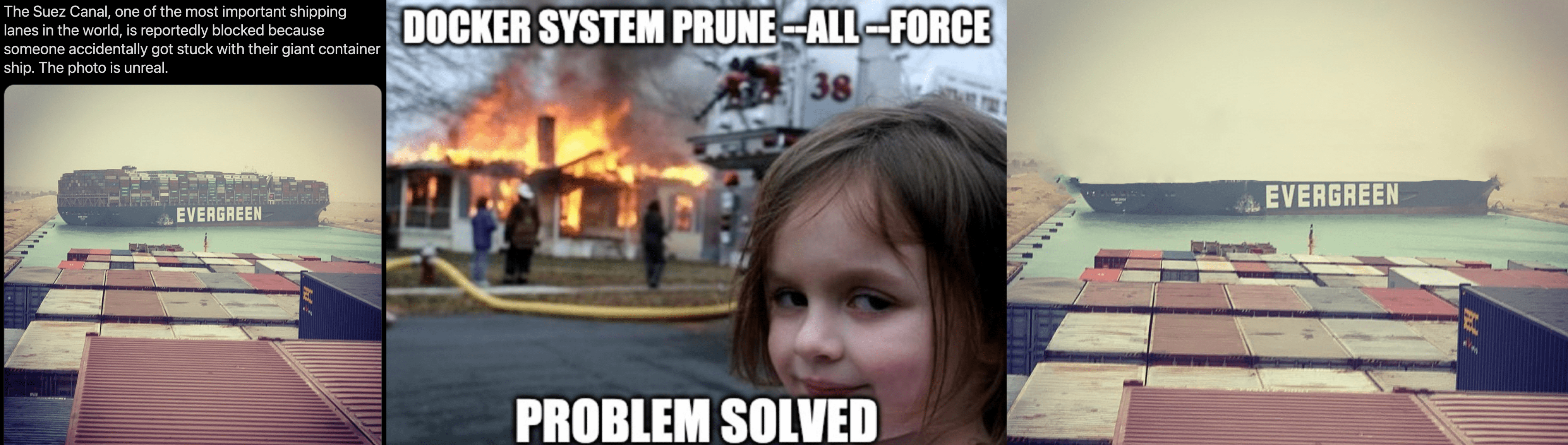 how to pruning up evergreen's containers | Scrolller