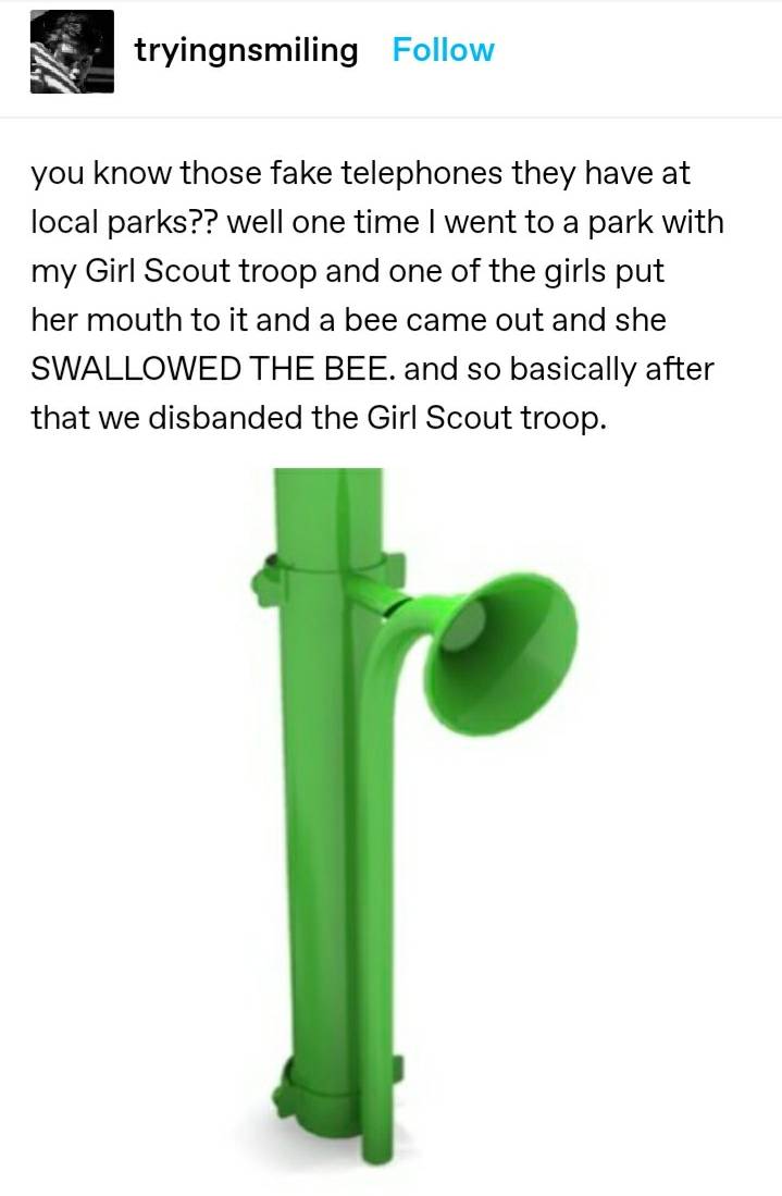 How to swallow a bee | Scrolller