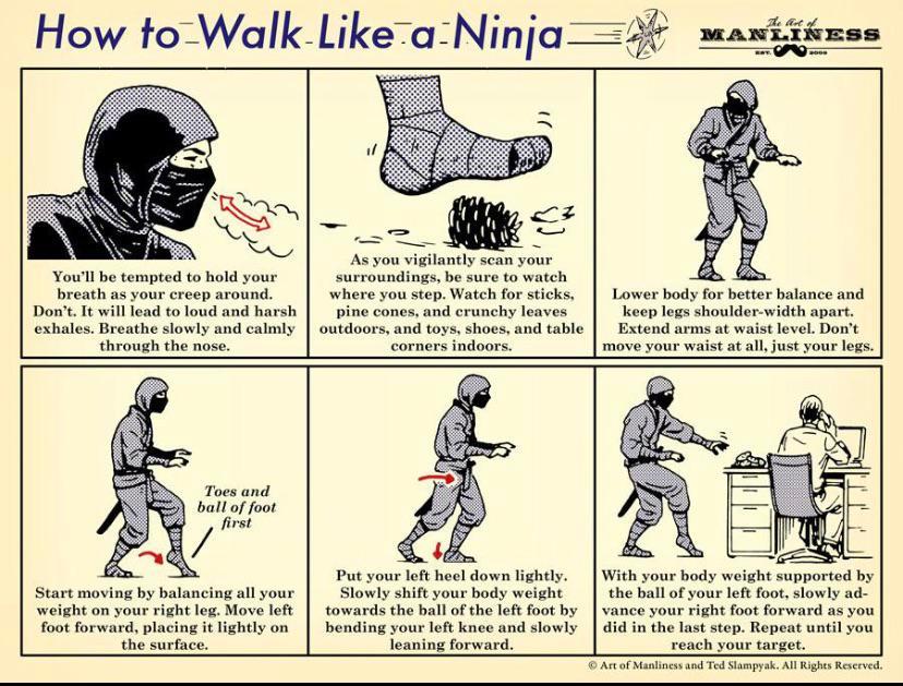 How to walk like a Ninja | Scrolller