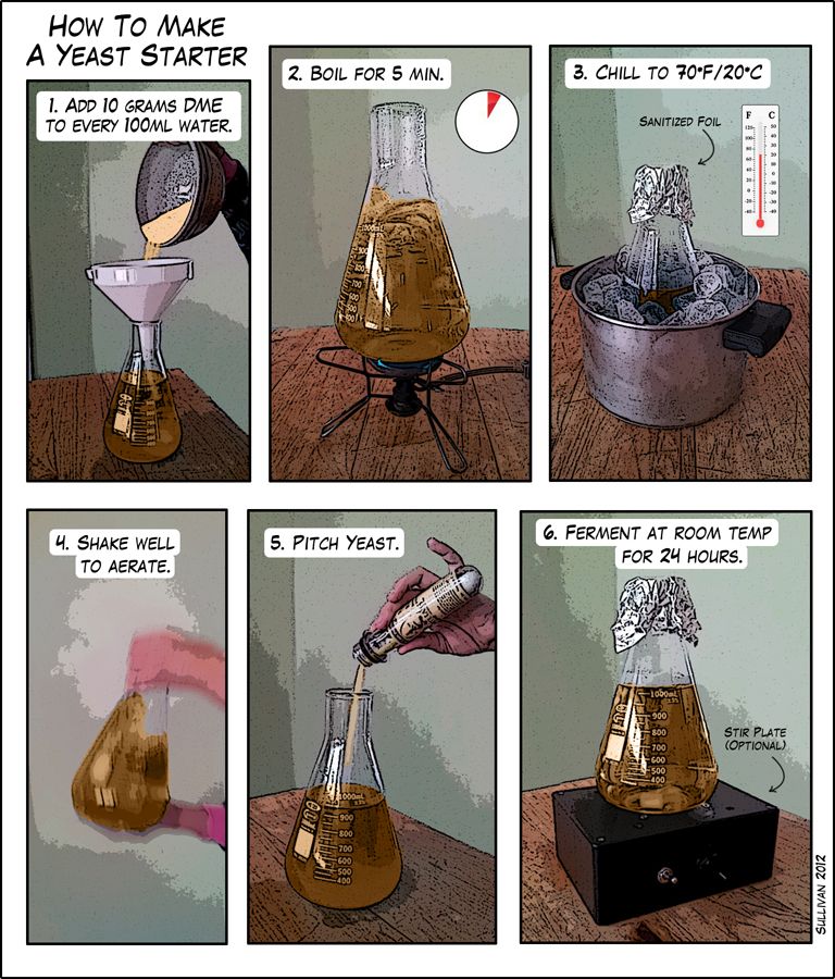 How to: Yeast starter | Scrolller