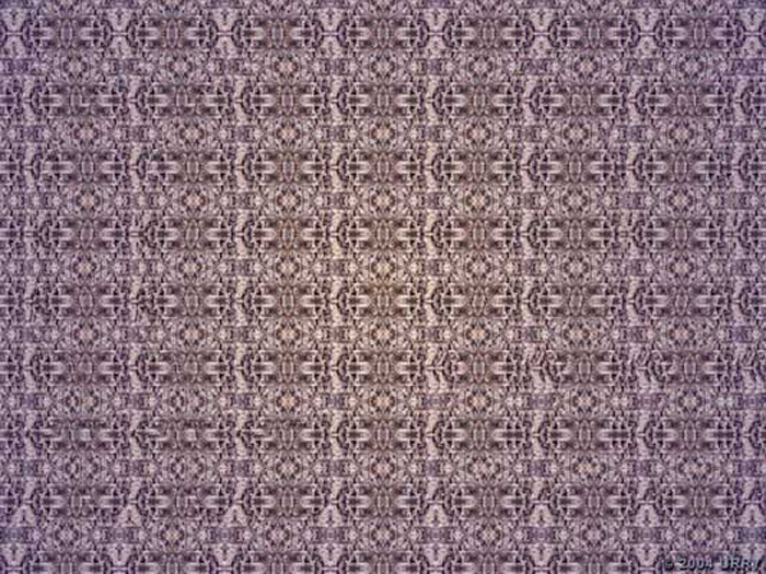 Human Skull | Scrolller