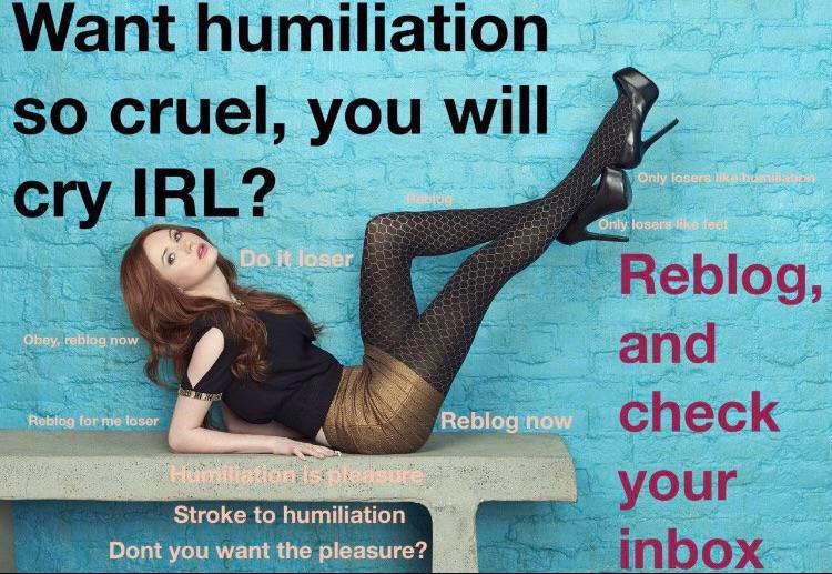 Humiliate me | Scrolller