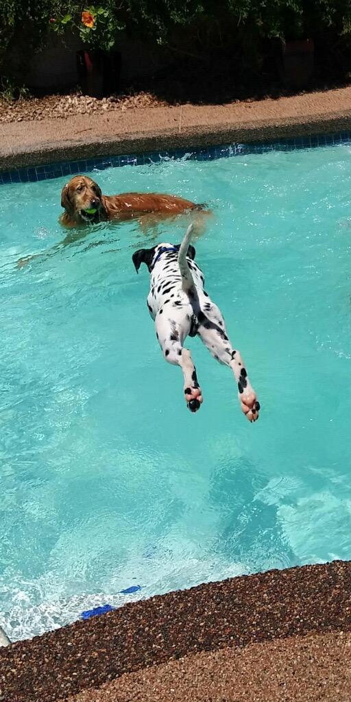Humpday Jumpday Scrolller