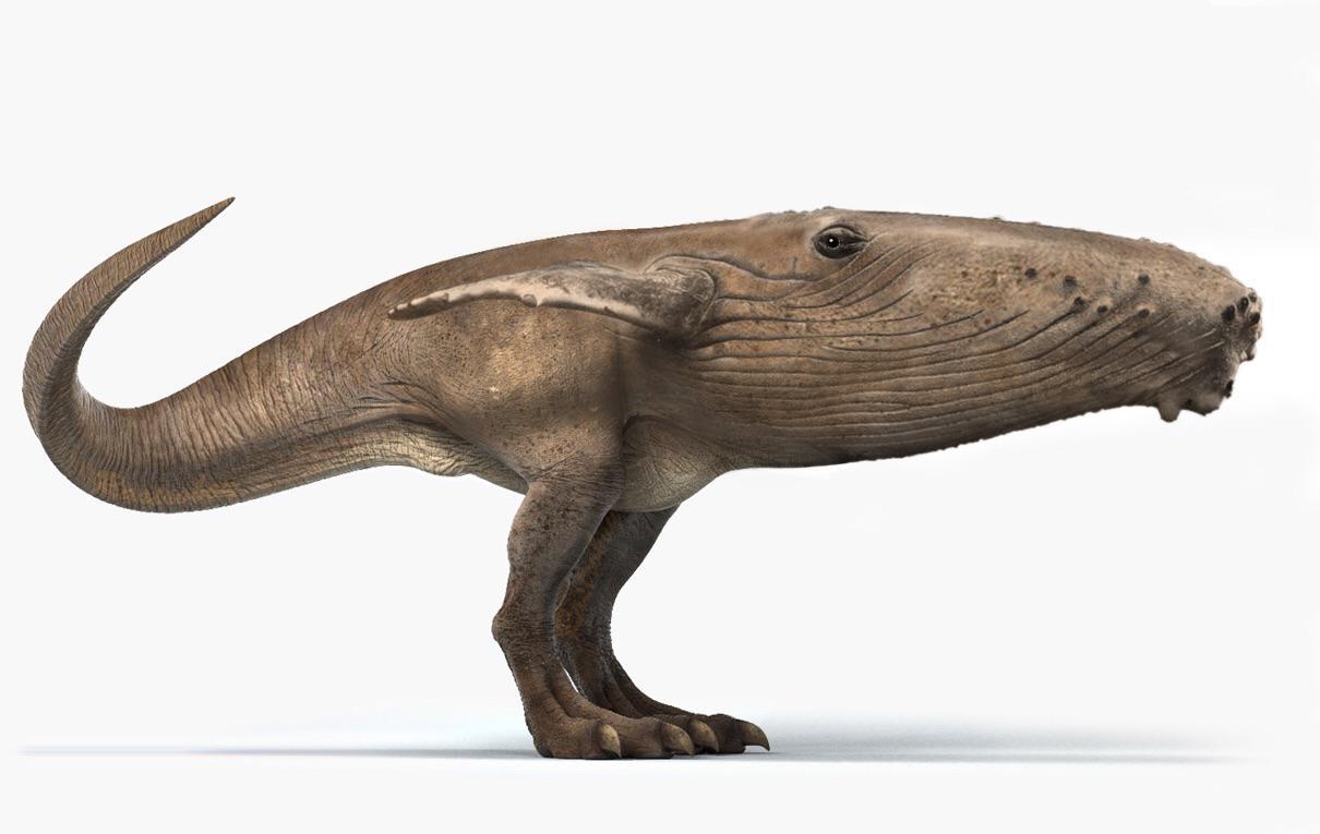 Humposaurus Rex | Scrolller