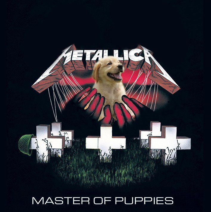 hundreds of people done this. here's my take. | Scrolller