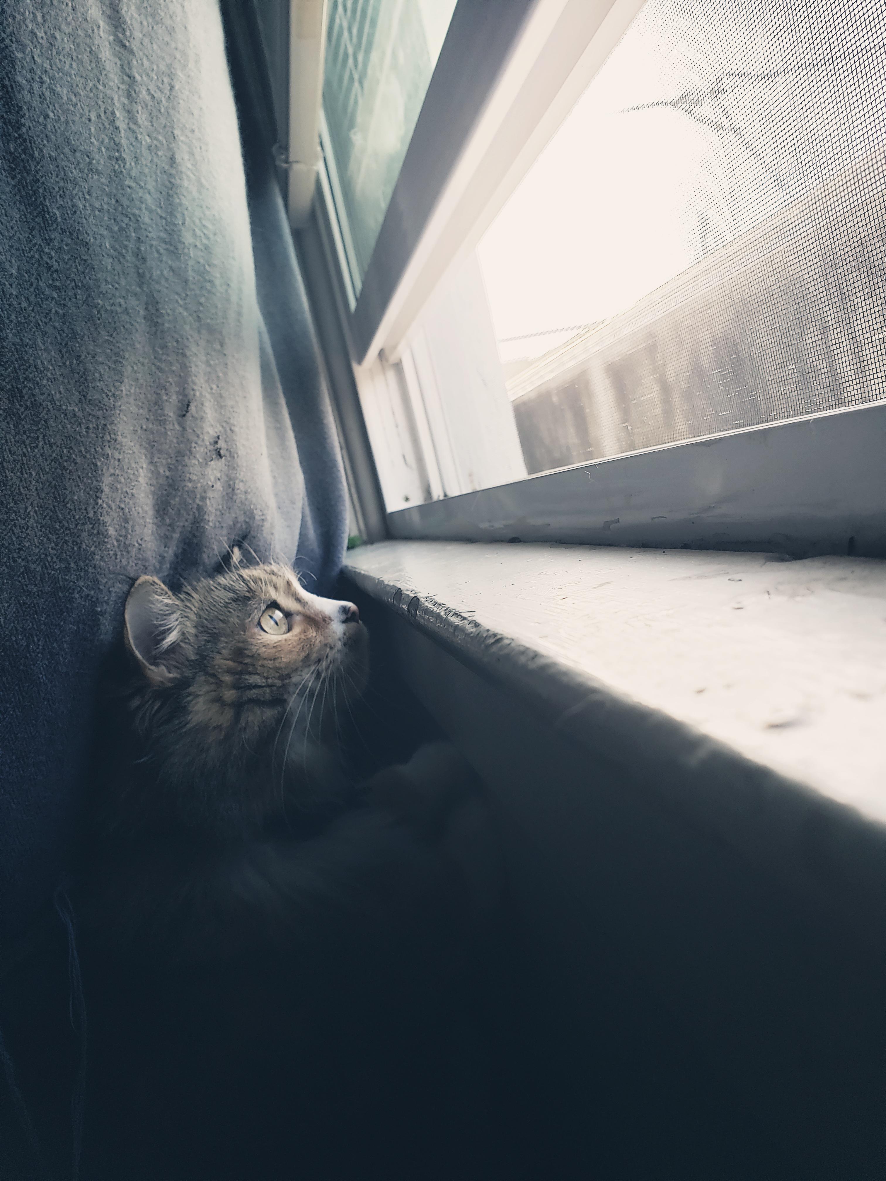 Hunting from the Shadows | Scrolller