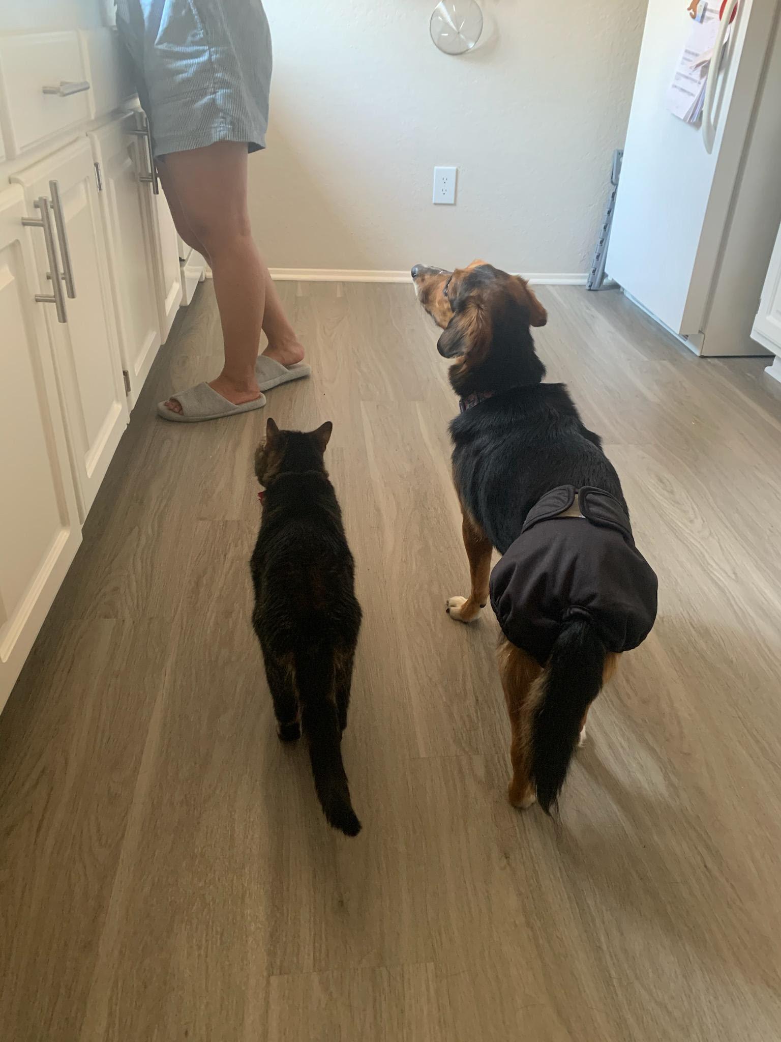 Hurry up, let's EAT! | Scrolller