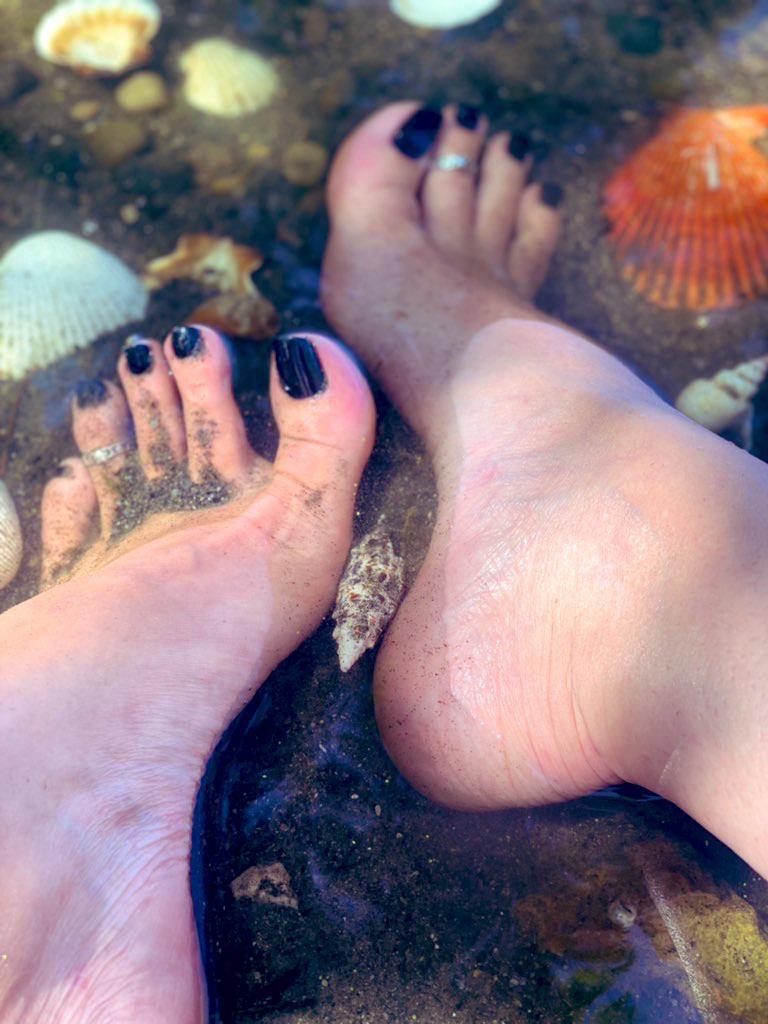 I bet you wish you were that shell… | Scrolller