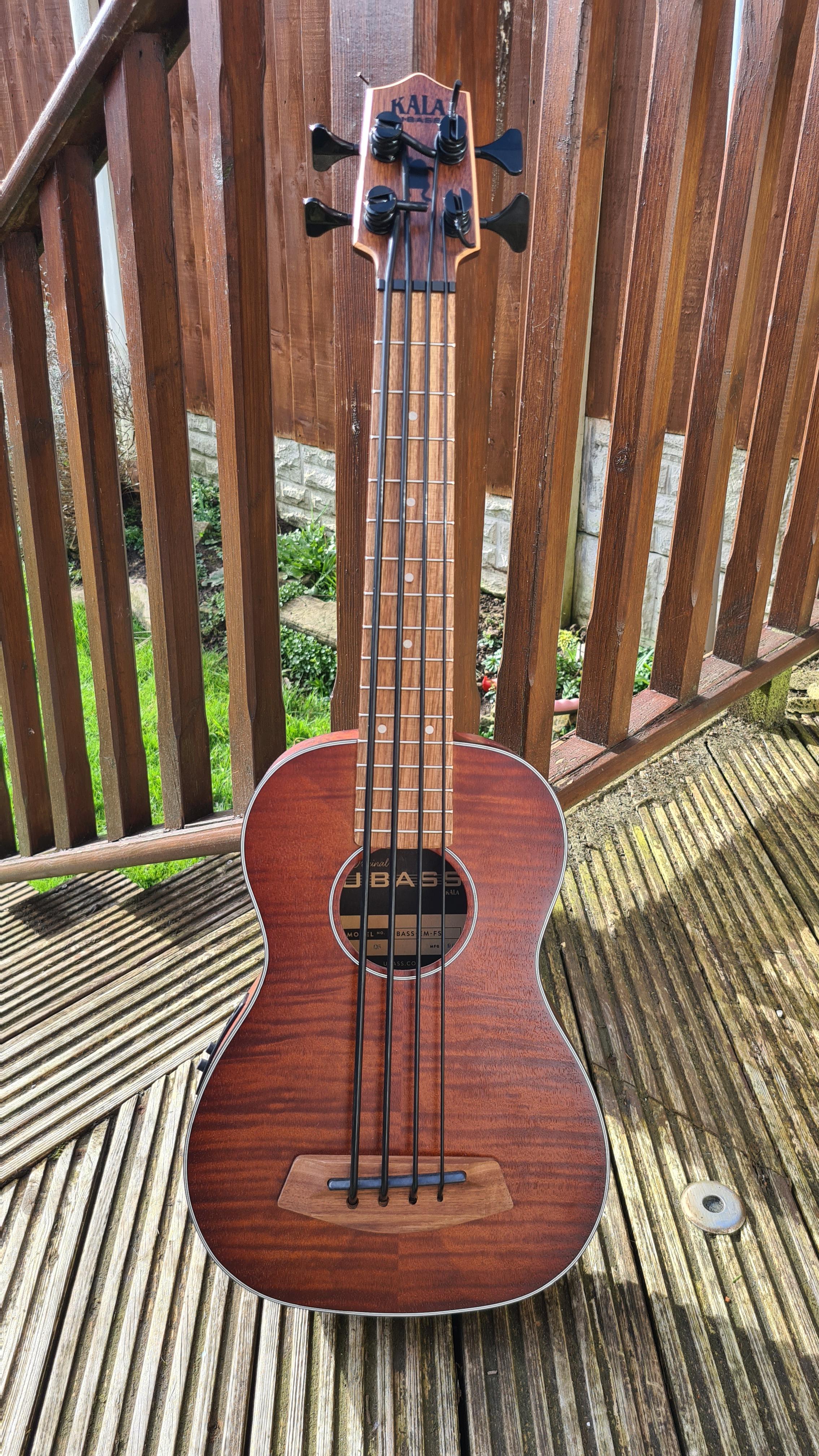 I bought a Travel Bass for work. Here she is catching some sun. | Scrolller