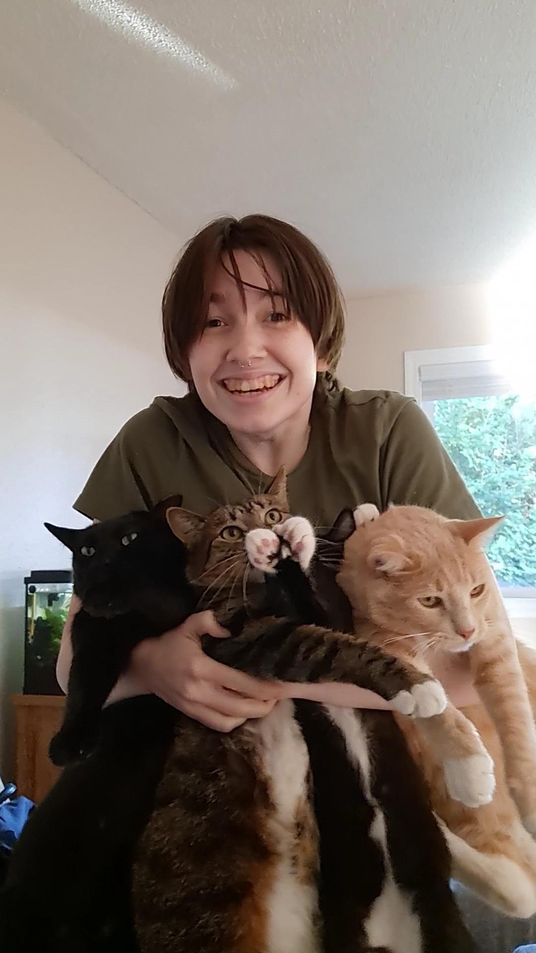 I brought my armful of cats! | Scrolller