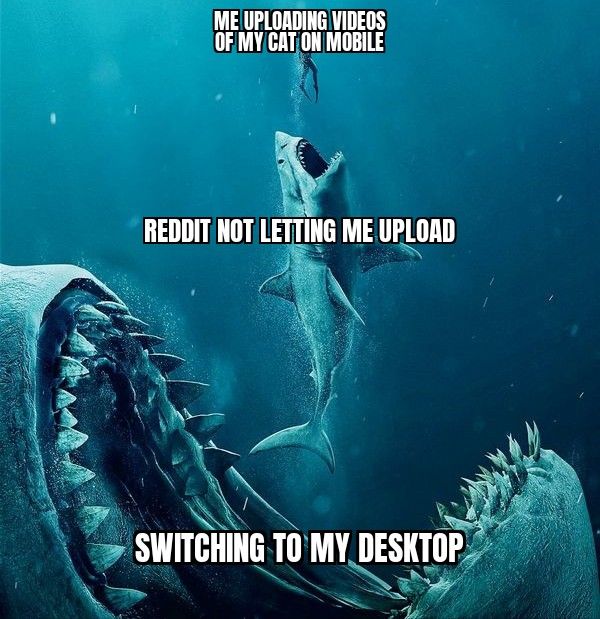 I cannot be stopped | Scrolller