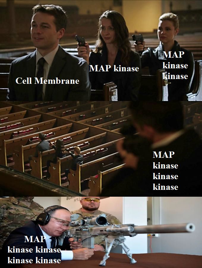 I can't wait for the sequel! | Scrolller