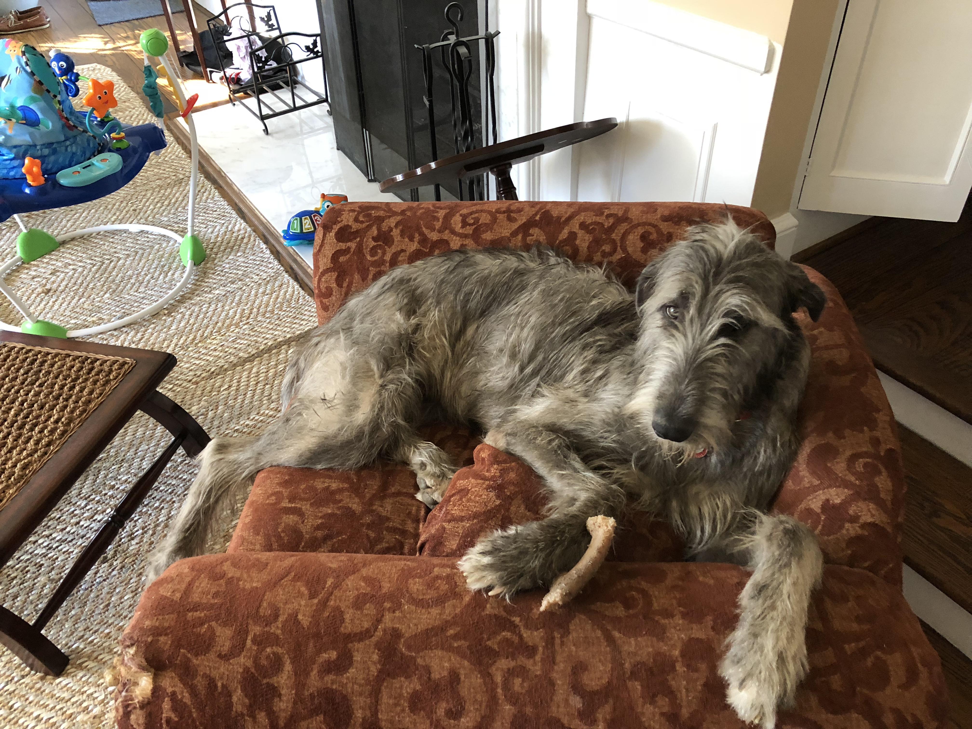 I claimed my chair. | Scrolller