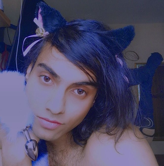 I definitely need a kitty tail with a bigger plug😳😳 | Scrolller