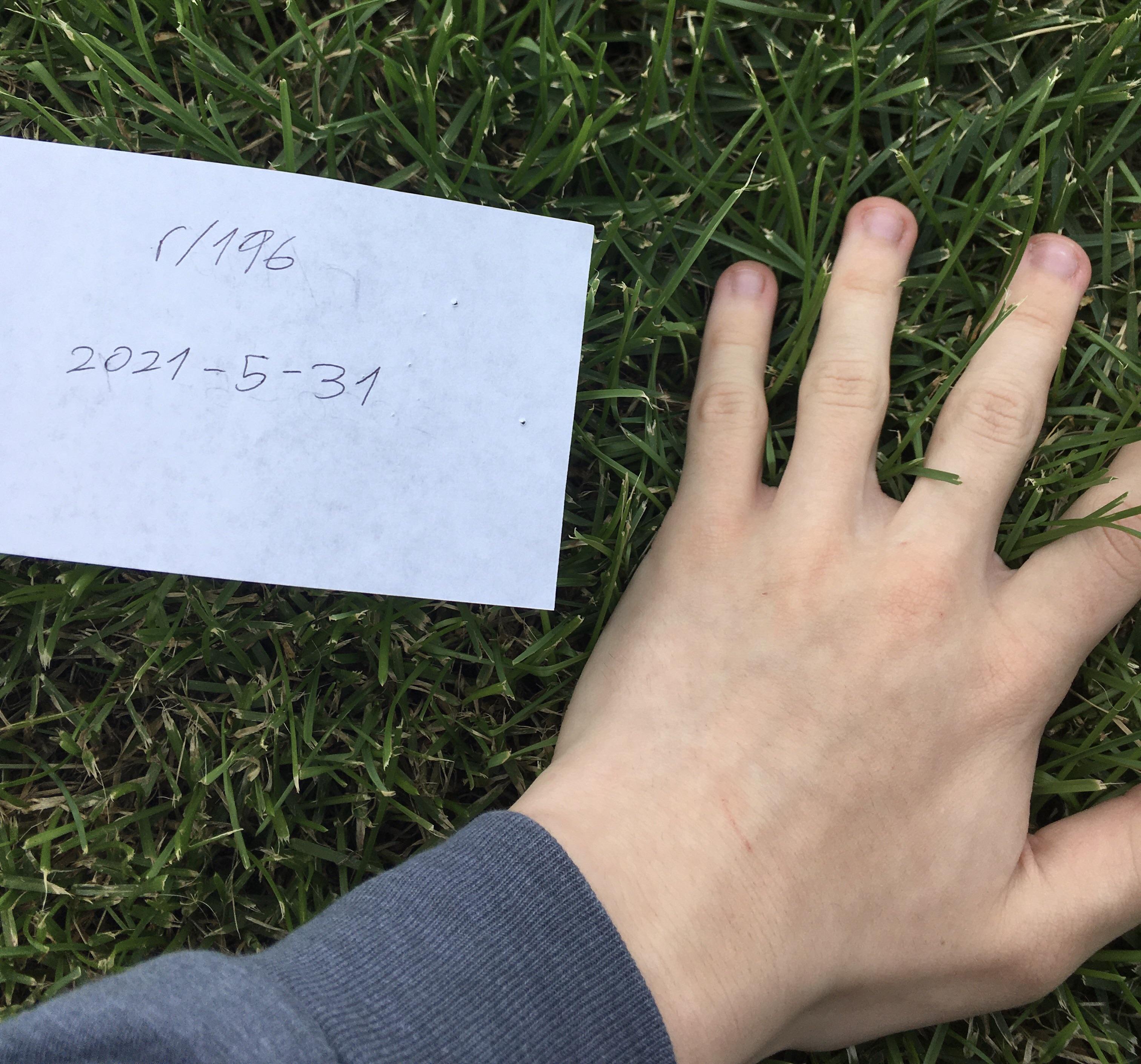 I did it, I went outside and touched grass. Now what? | Scrolller