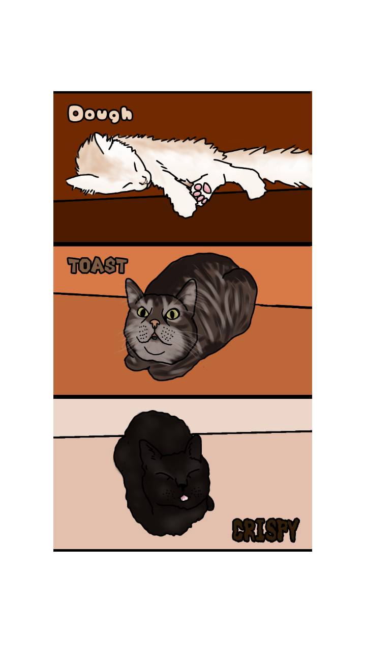 I drew my cats, in the three stages of load enjoy! | Scrolller