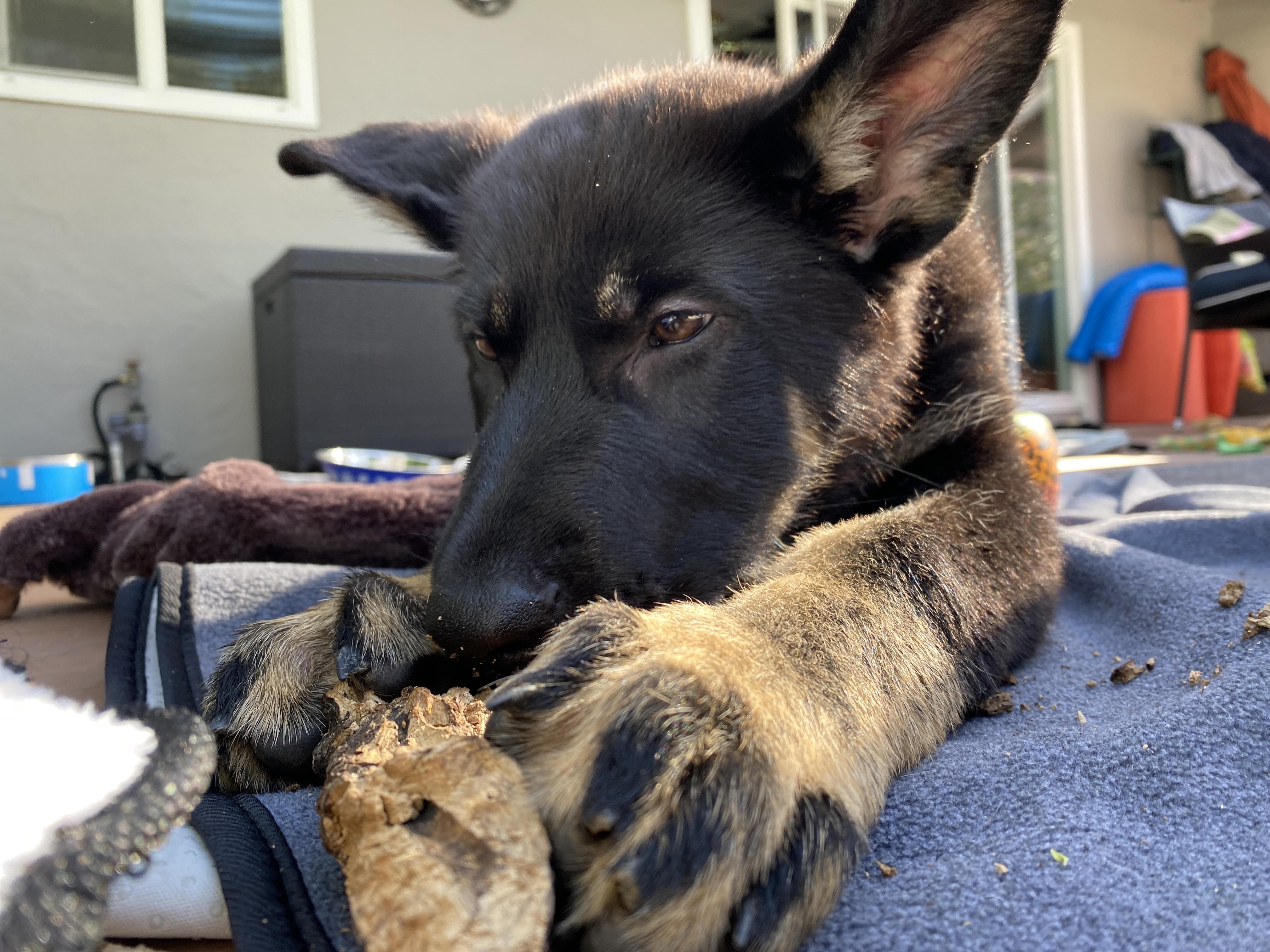 I eat everything | Scrolller