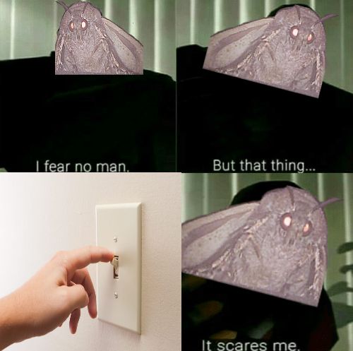 I fear no man. But that thing... | Scrolller