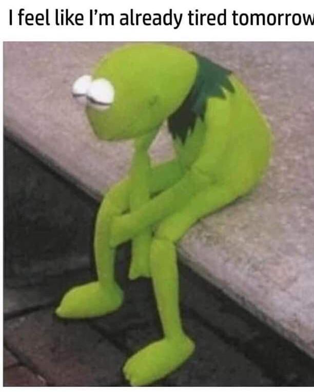 I feel ya, Kermit | Scrolller