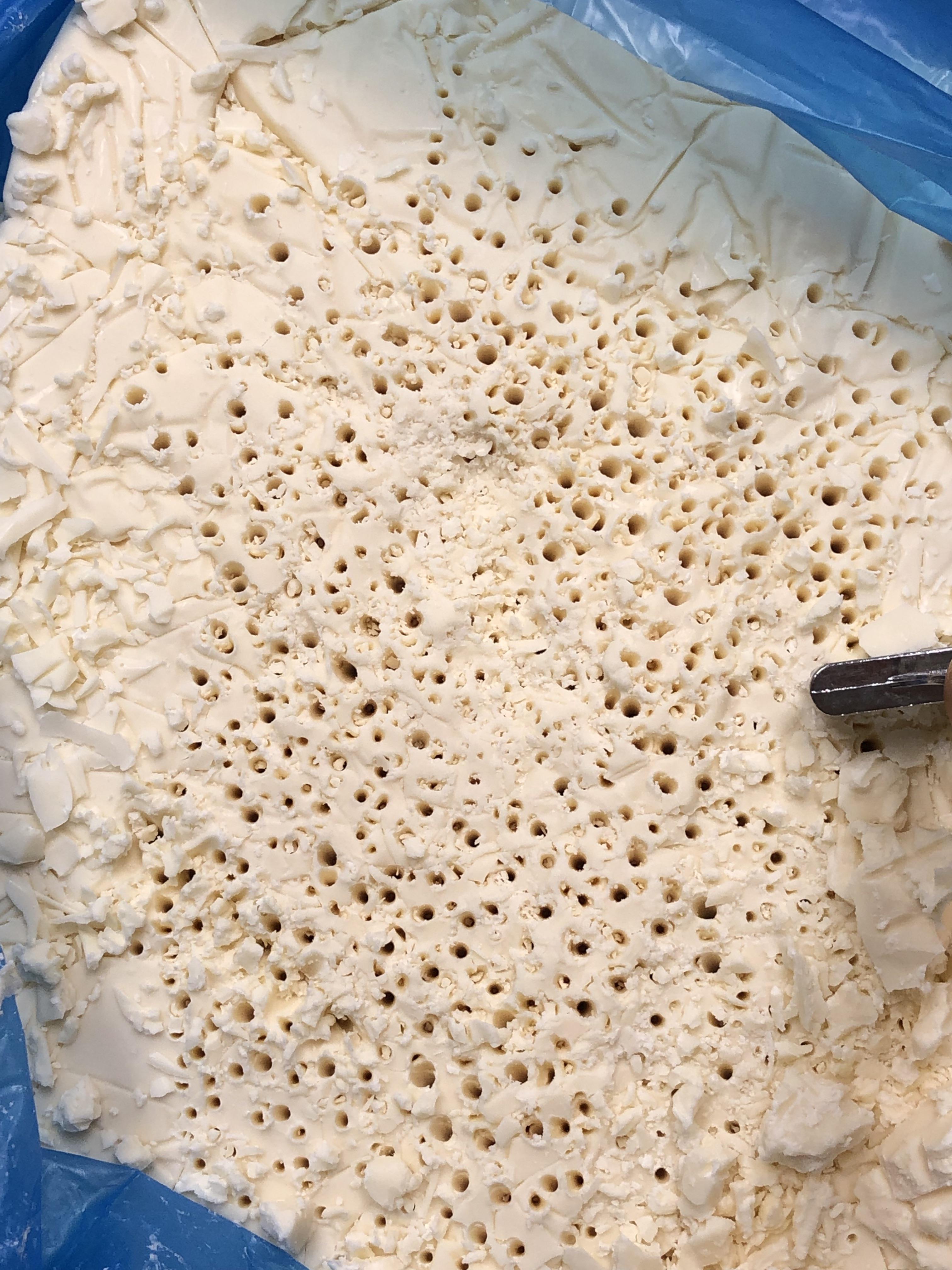 I hate it here | Scrolller