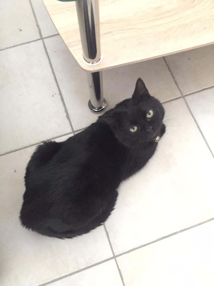 I have disturbed the burned loaf... | Scrolller