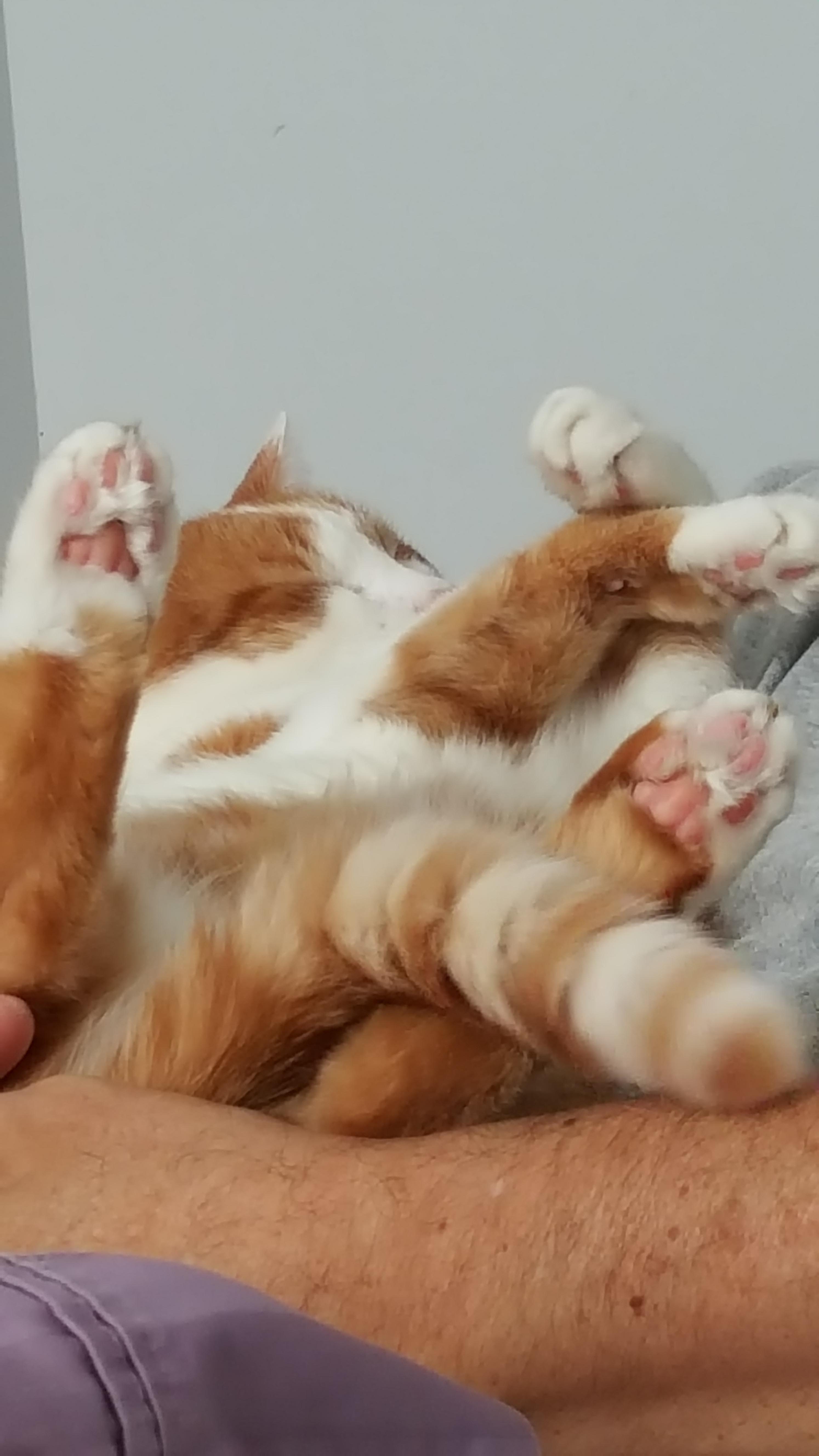 I just wanna touch em... | Scrolller