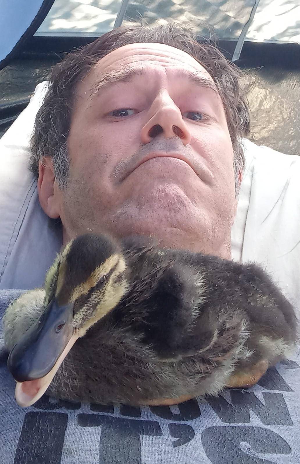 I just wanted to take a nap... | Scrolller