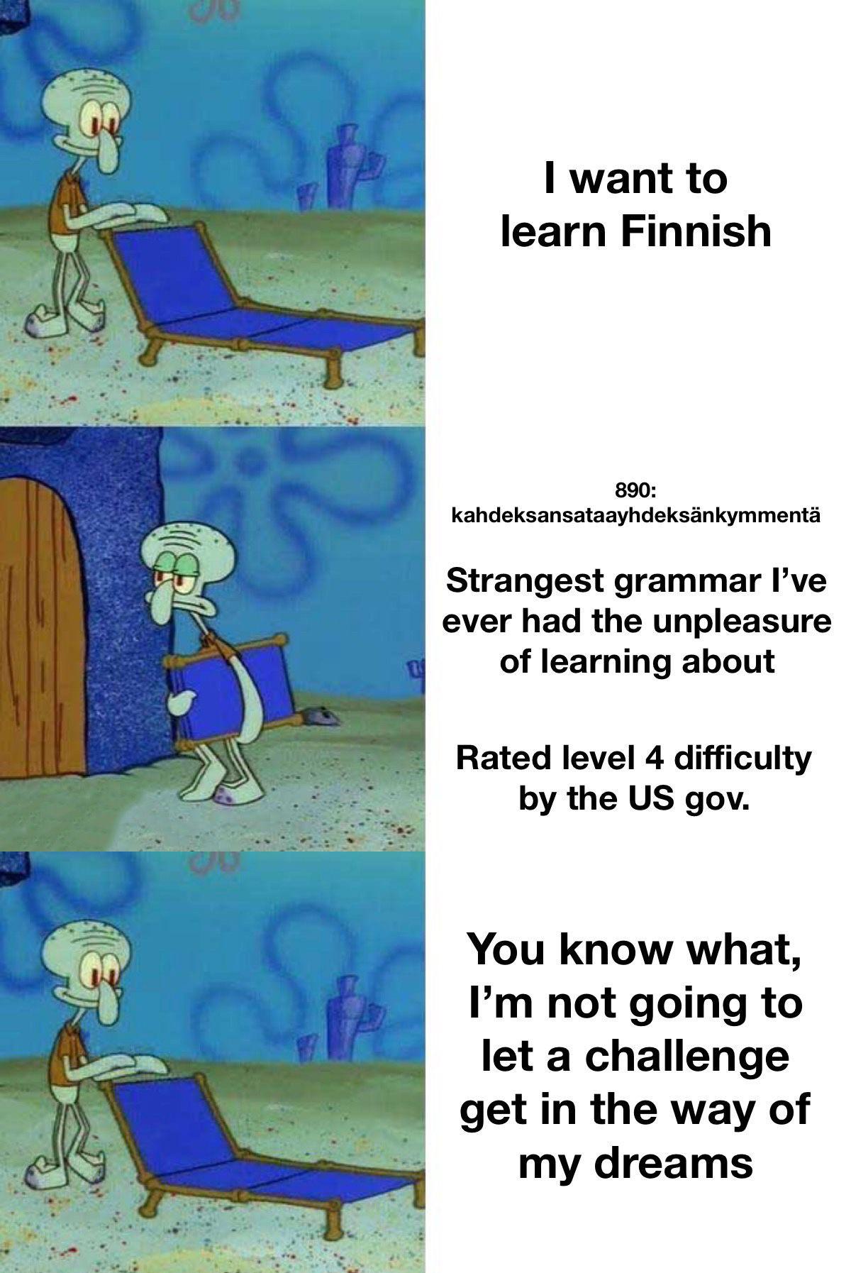 I just wish Duolingo taught grammar | Scrolller