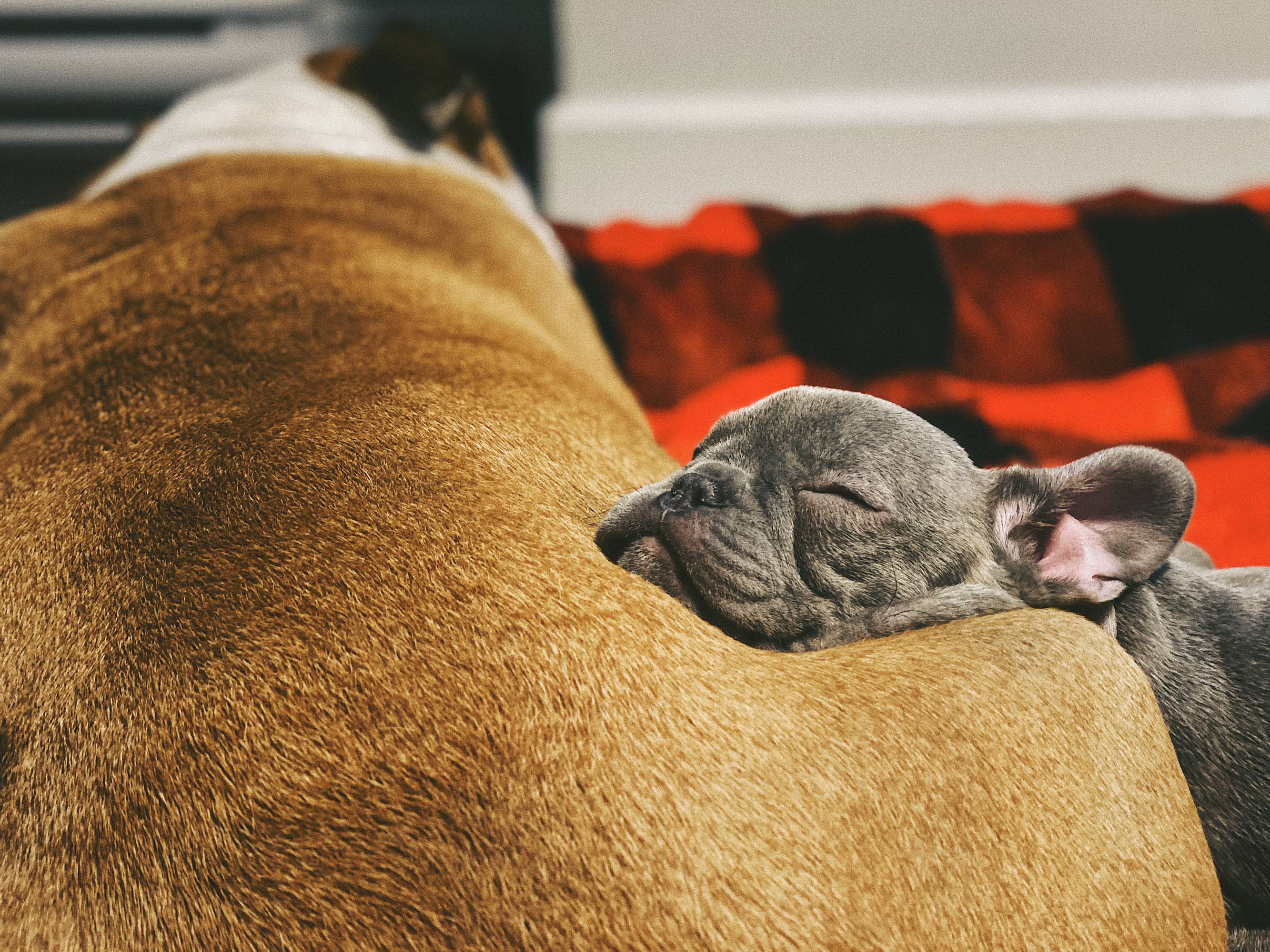 I love my big brother | Scrolller