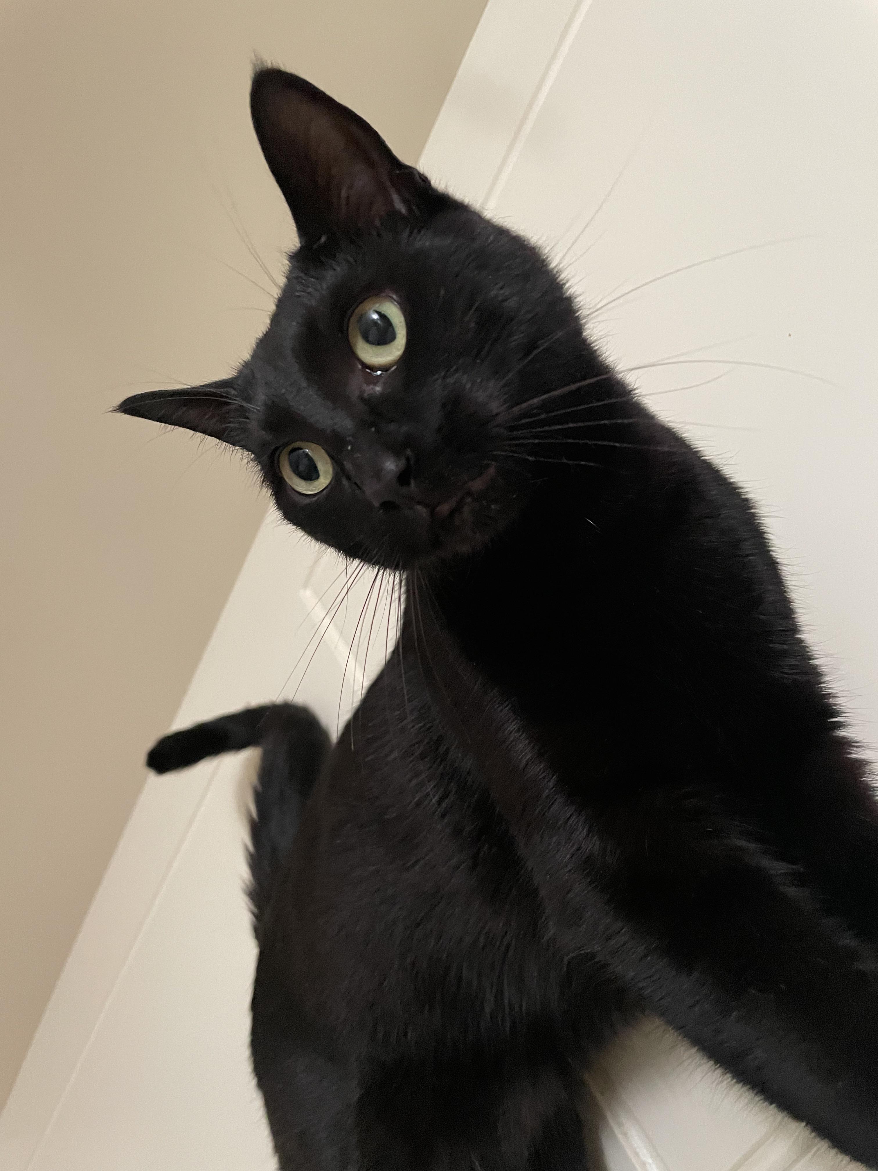 I love my little void 🖤 | Scrolller