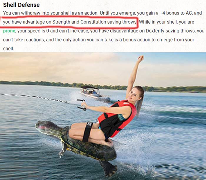 I love my tortle character | Scrolller