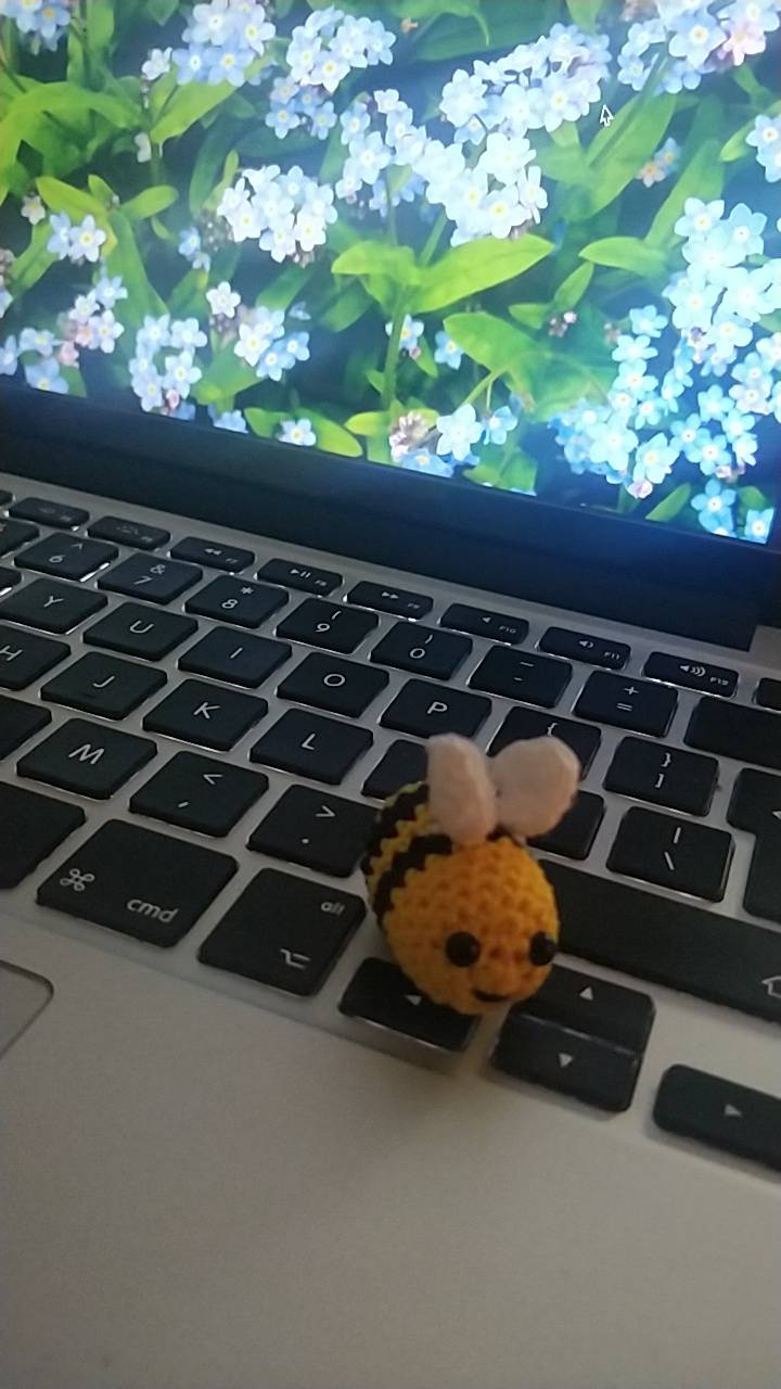 I made a tiny bee 🐝👉🏽👈🏽 | Scrolller