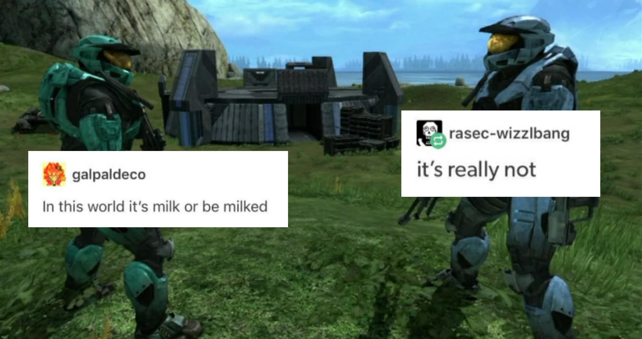 I made an rvb meme account on Instagram, consider following 😳 @donuts_phat_ass | Scrolller