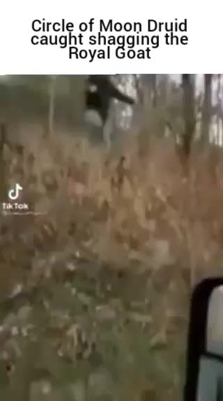 I made this crappy meme with an unconventional video editor app | Scrolller