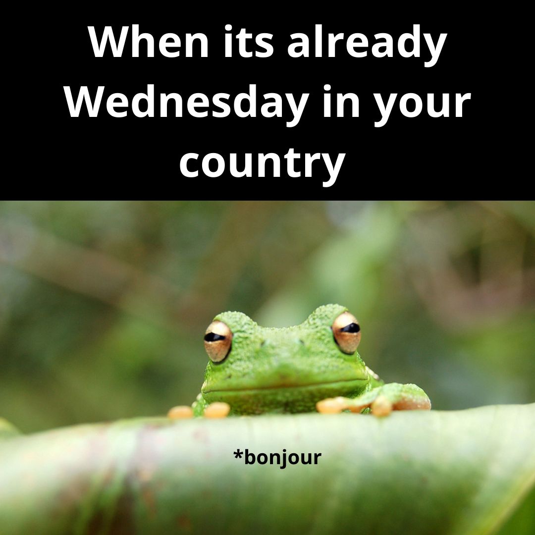 I made this post dark theme friendly | Scrolller