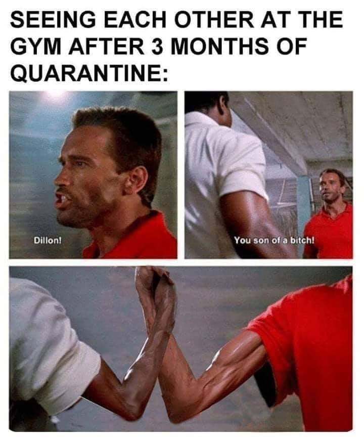 I miss my belay partner | Scrolller