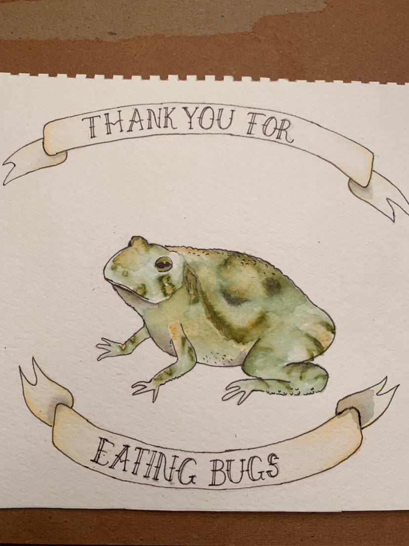 I painted the little toad who lives in my yard. I love him. | Scrolller