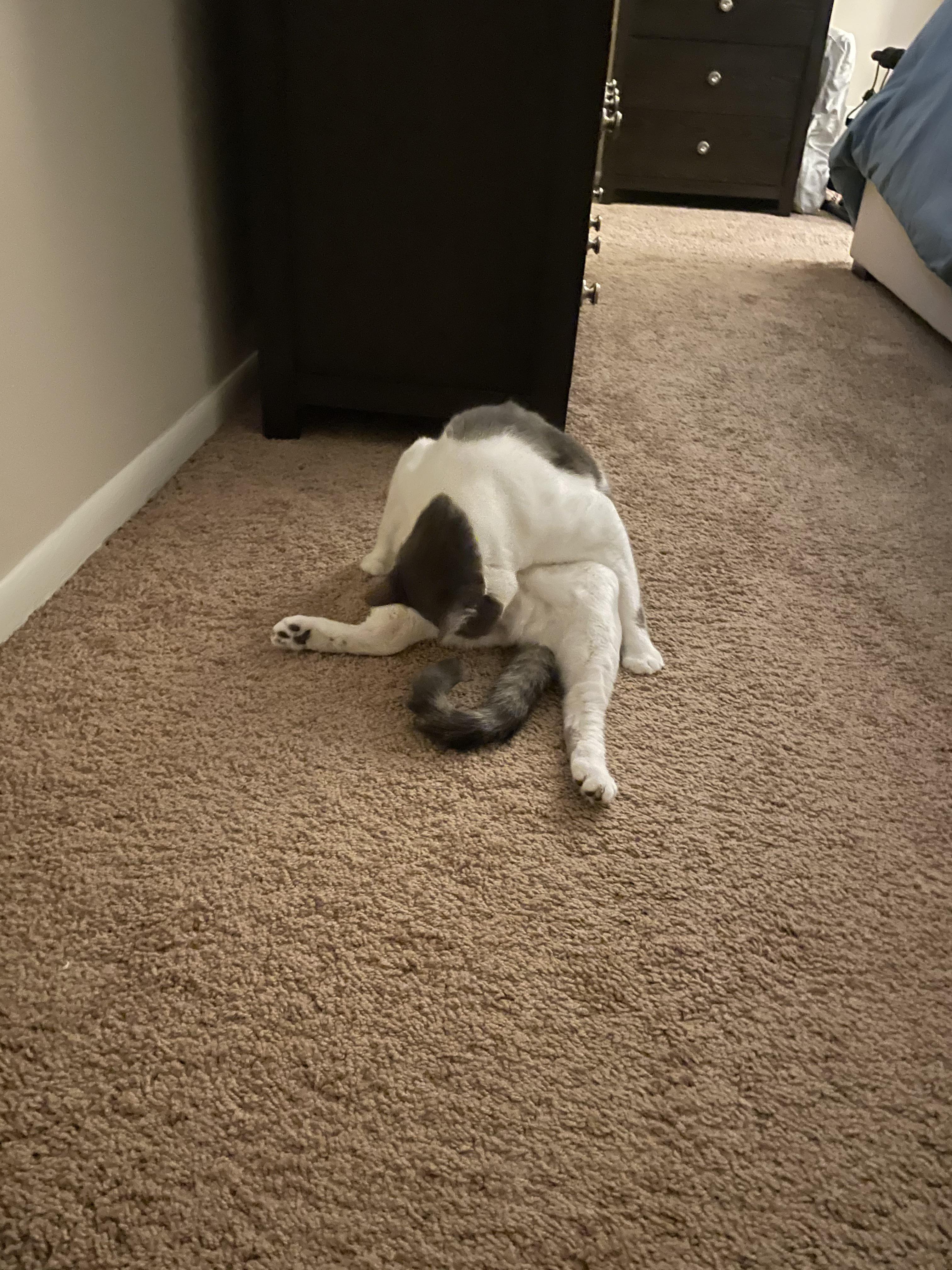 I present to you - Niko | Scrolller