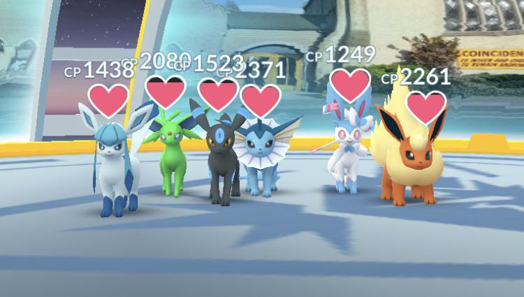 I saw a gym with pure eeveelutions | Scrolller